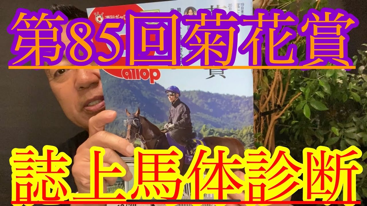 【誌上馬体診断】淀の3000m強い馬が勝つ‼︎馬肥ゆる秋 - Keiba Channel